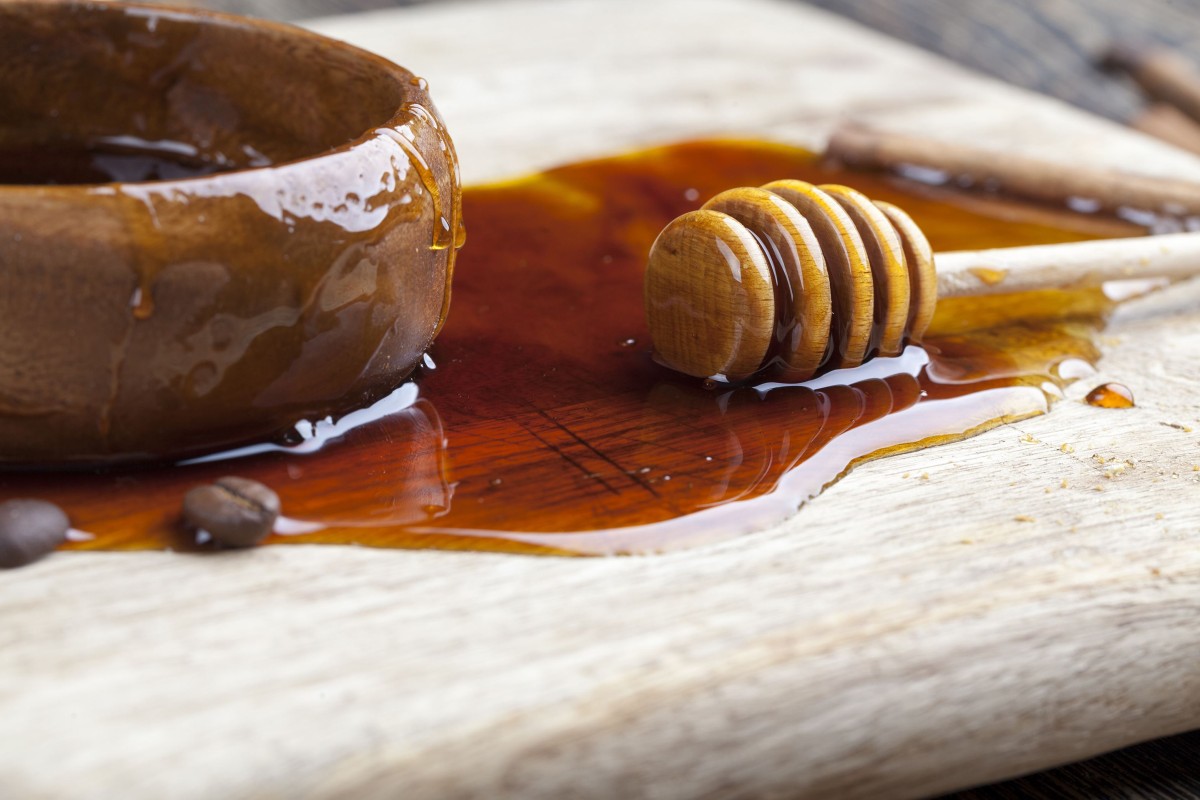 Bears Scarf Down 'a Week's Worth' of Honey After Escape