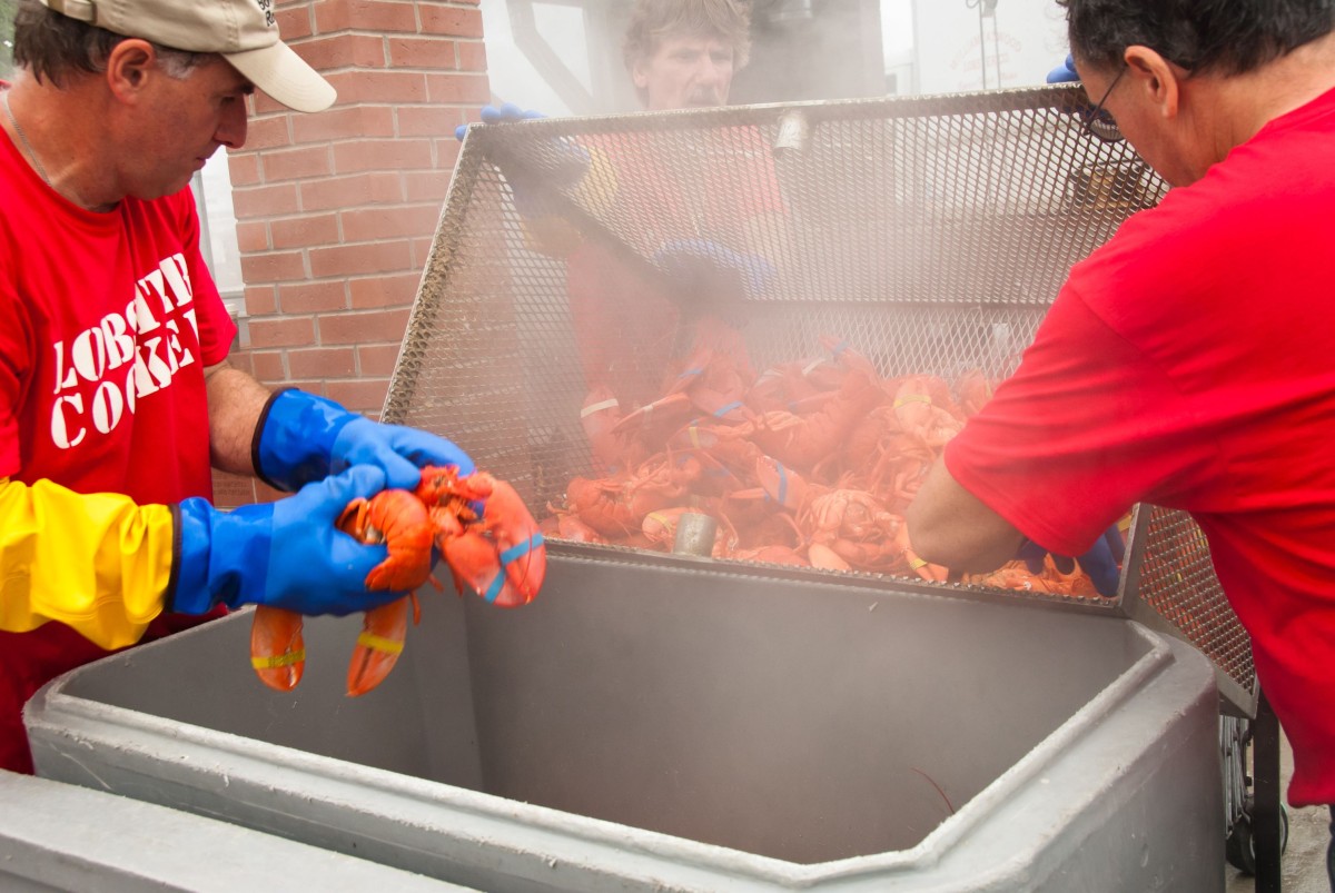 PETA Targets 'Egregiously Cruel' Lobster Festival