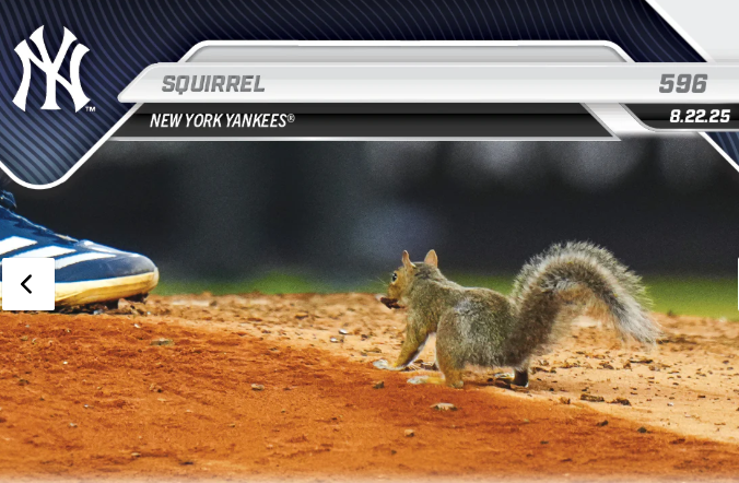 Topps Just Put a Squirrel on a Baseball Card