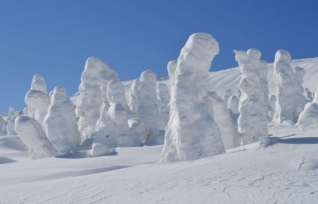 How Mount Zao's Famous Snow Monsters Came to Be