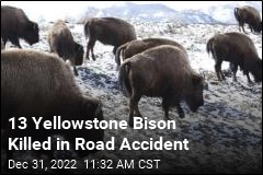 Yellowstone National Park – News Stories About Yellowstone National ...