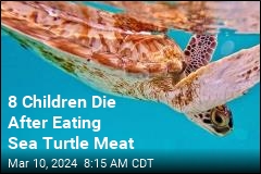 8 Children Die After Eating Sea Turtle Meat
